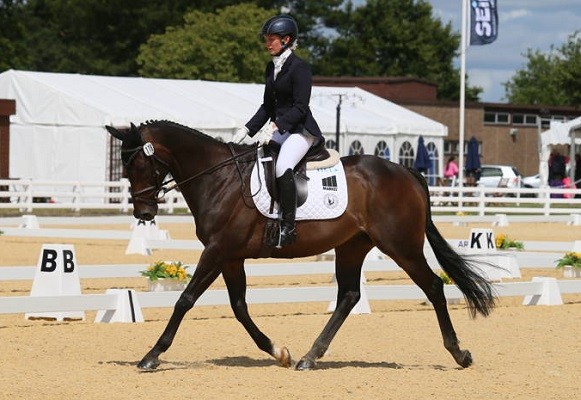 How It Works - Right Horse Right Home