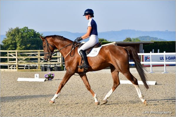 Right Horse Right Home
